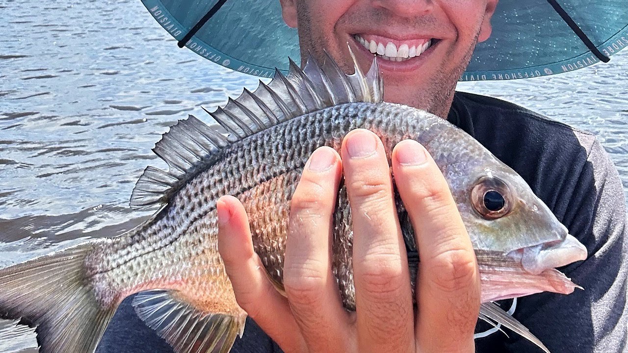 Bream Fishing In Australia! Catch & Cook! - YouTube