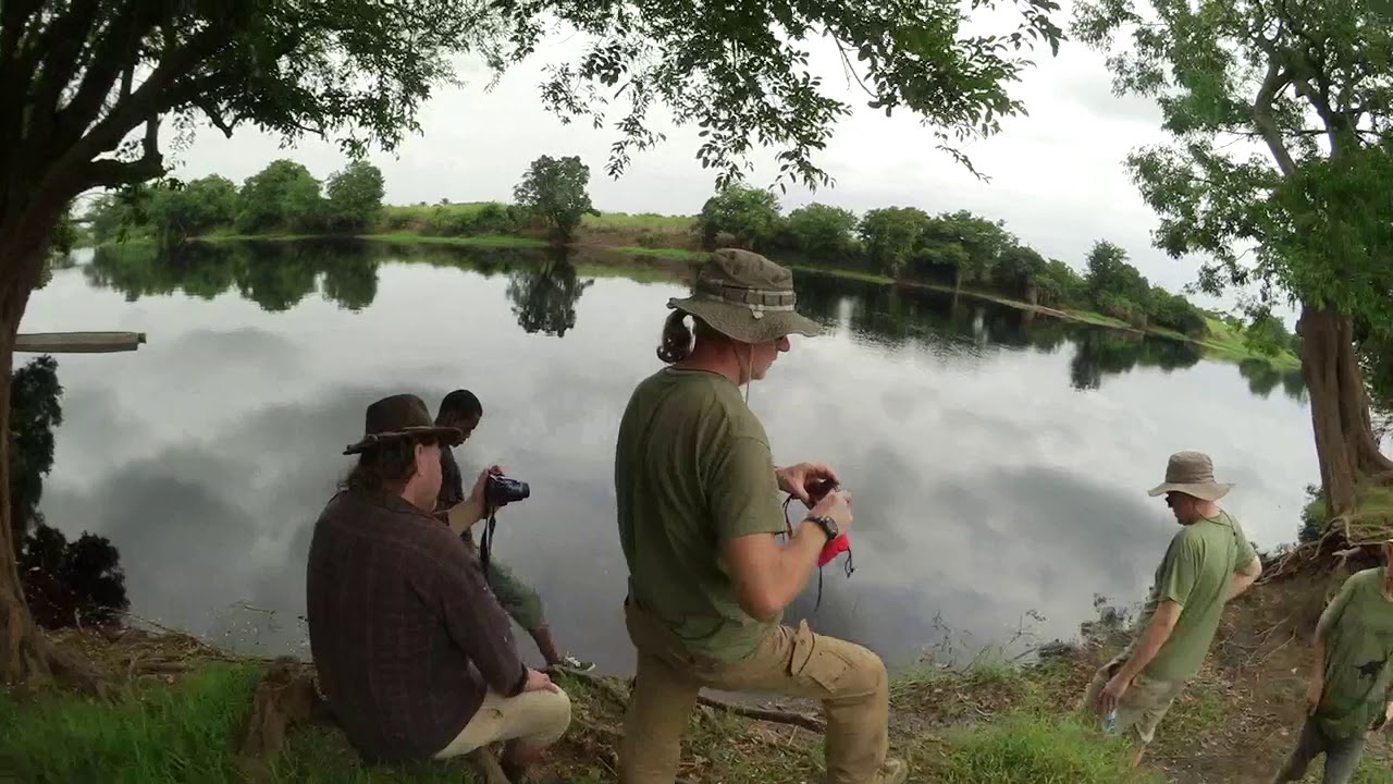 visite de la rivière likouala aux herbes - YouTube