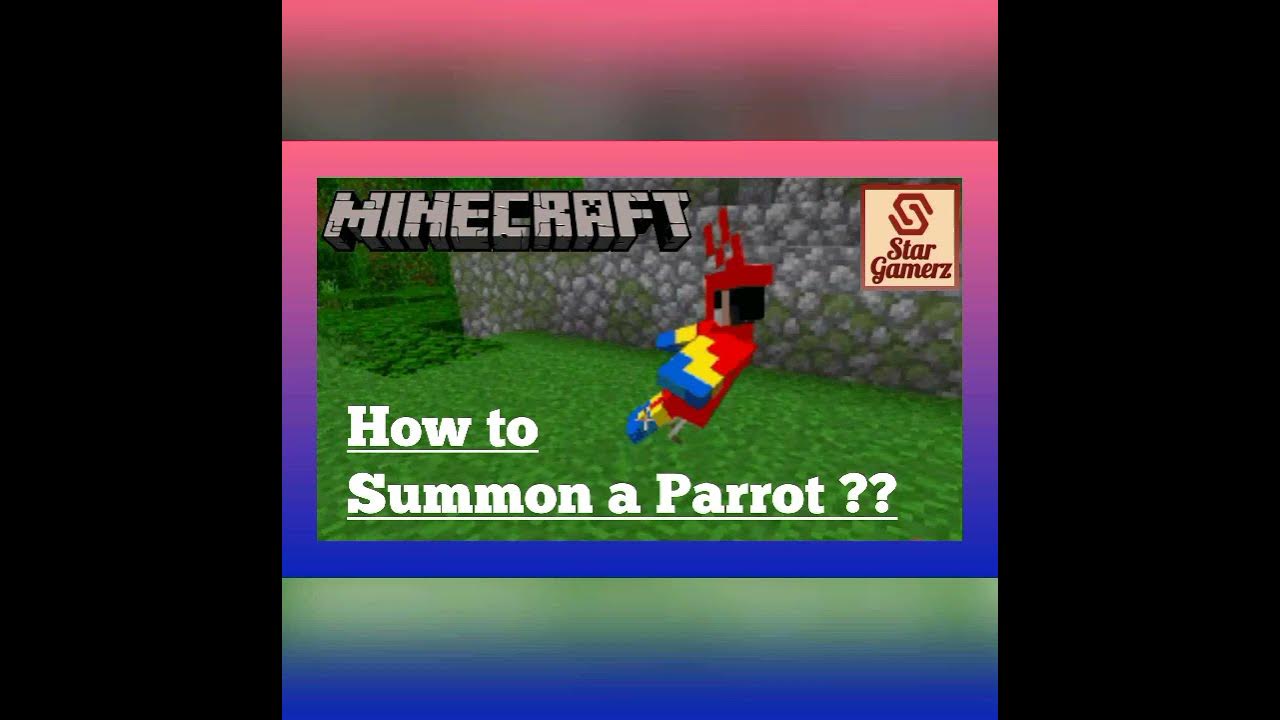 How To Summon A Parrot In Minecraft For Basic Learners YouTube how-to-summon-a-parrot-in-minecraft-for-basic-learners-youtube
