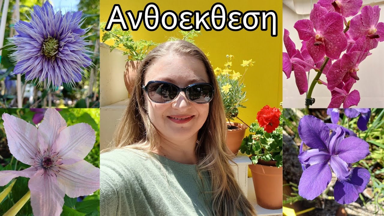 Ανθοκομικη Εκθεση Κηφισίας 2023🌻🌹🪻 #εκθεση - YouTube