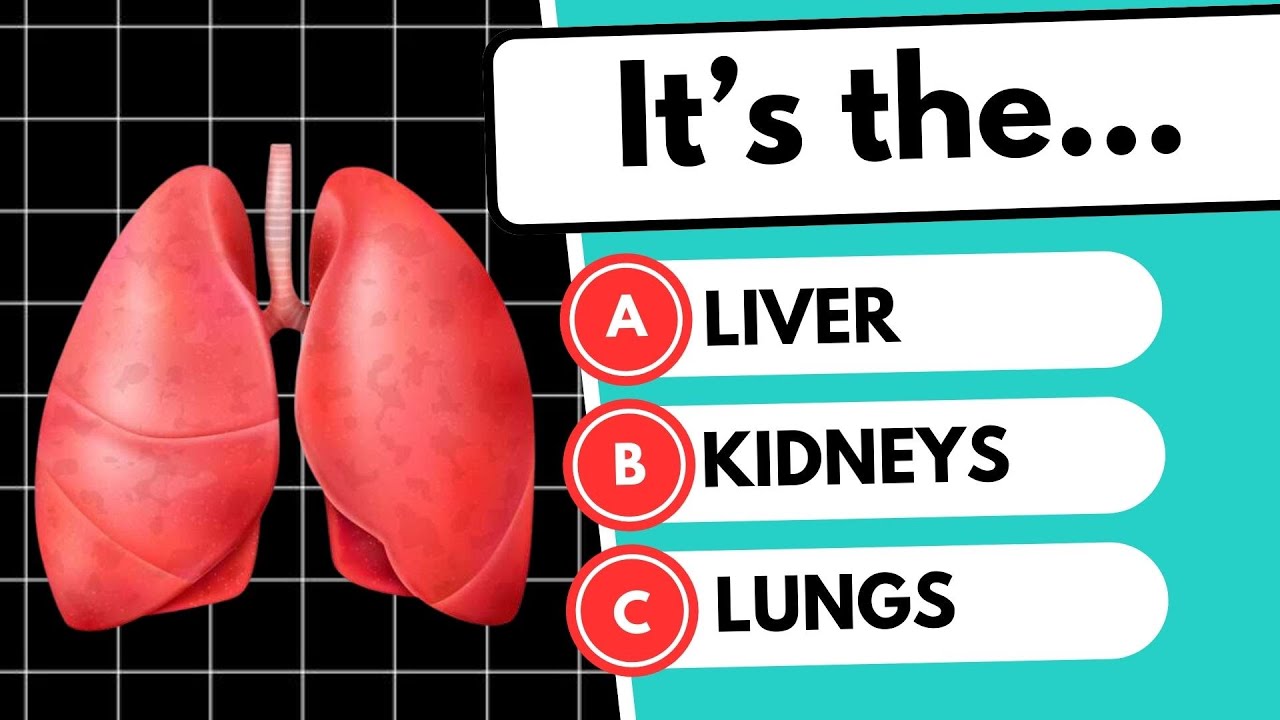 🩺 How Many Human Body Parts Can You Name? | Educational Video - YouTube