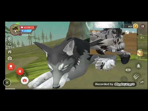 The forgot pup/ wildcraft/ - YouTube