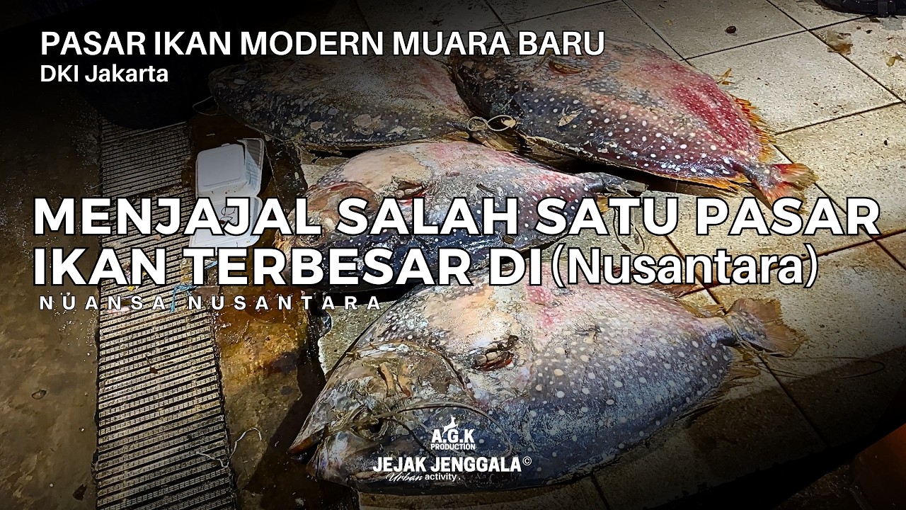 Pasar Ikan Modern Muara Baru | Menjajal Salah Satu Pasar Ikan Terbesar ...