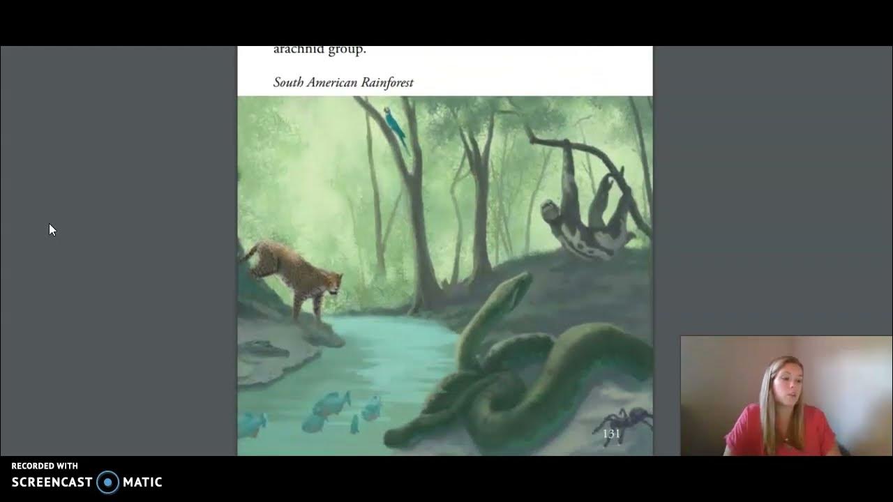 3rd Grade CKLA ELA Unit 2 Lesson 14 Animal Classification: "Scientists ...