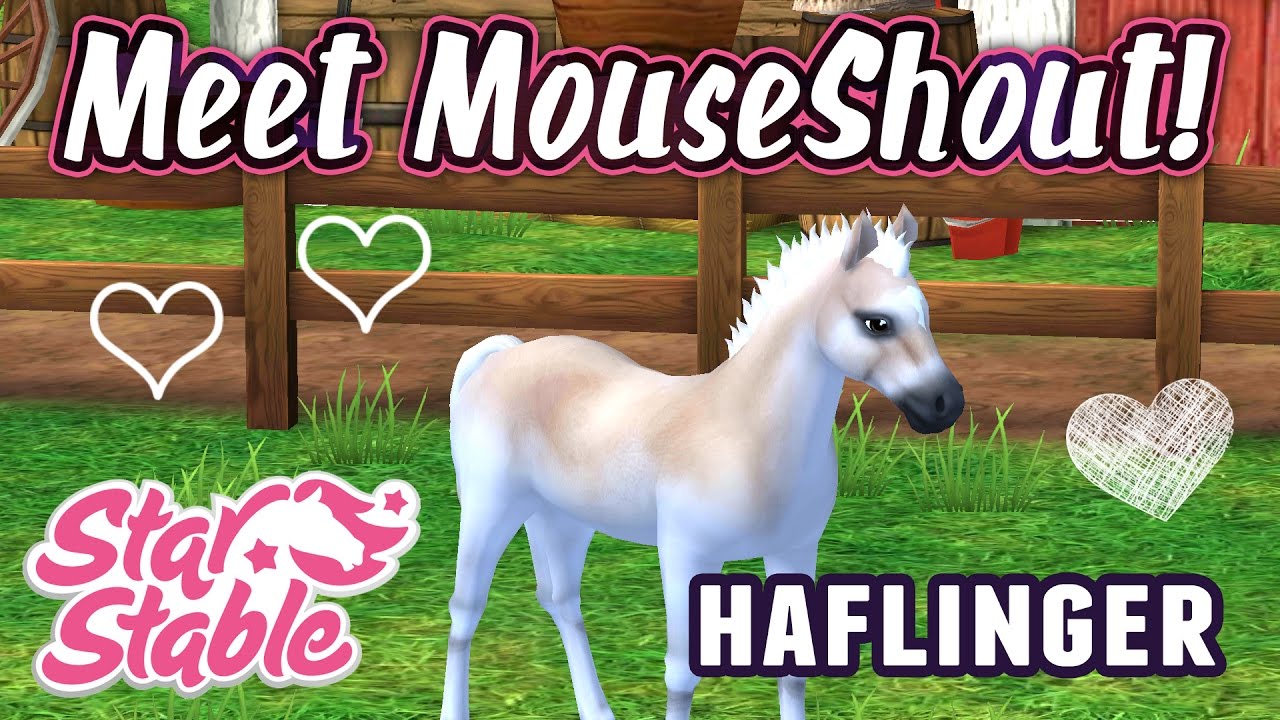 Meet MouseShout! || Haflinger || STAR STABLE HORSES - YouTube