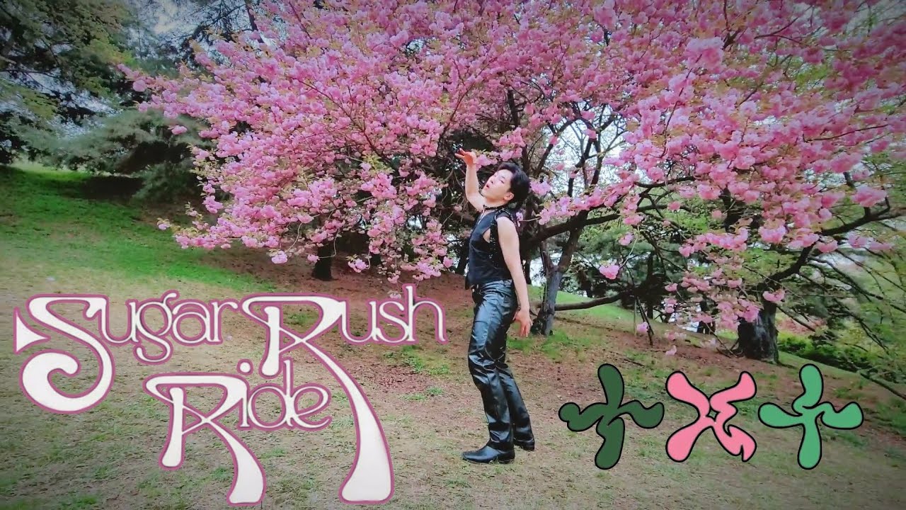 Sugar Rush Ride , 슈가 러쉬 라이드 - YouTube