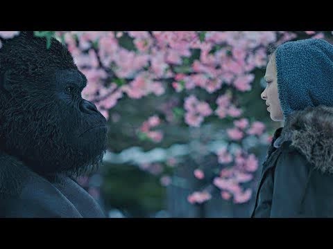Nova & Luca Scene | War for the Planet of the Apes (2017)#LOWI - YouTube