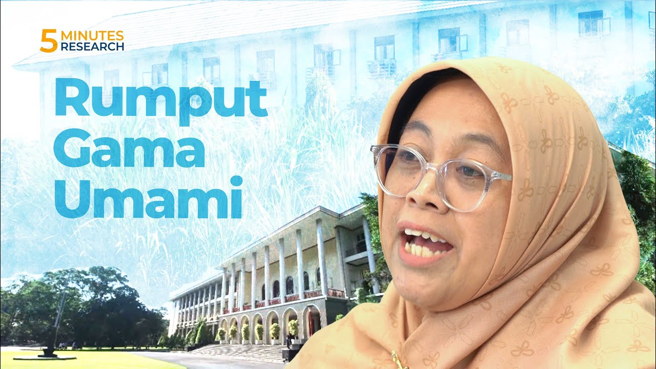 Rumput Gama Umami - YouTube