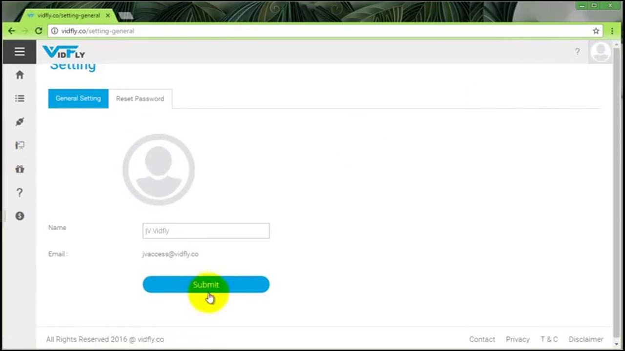 VIDFLY review - YouTube