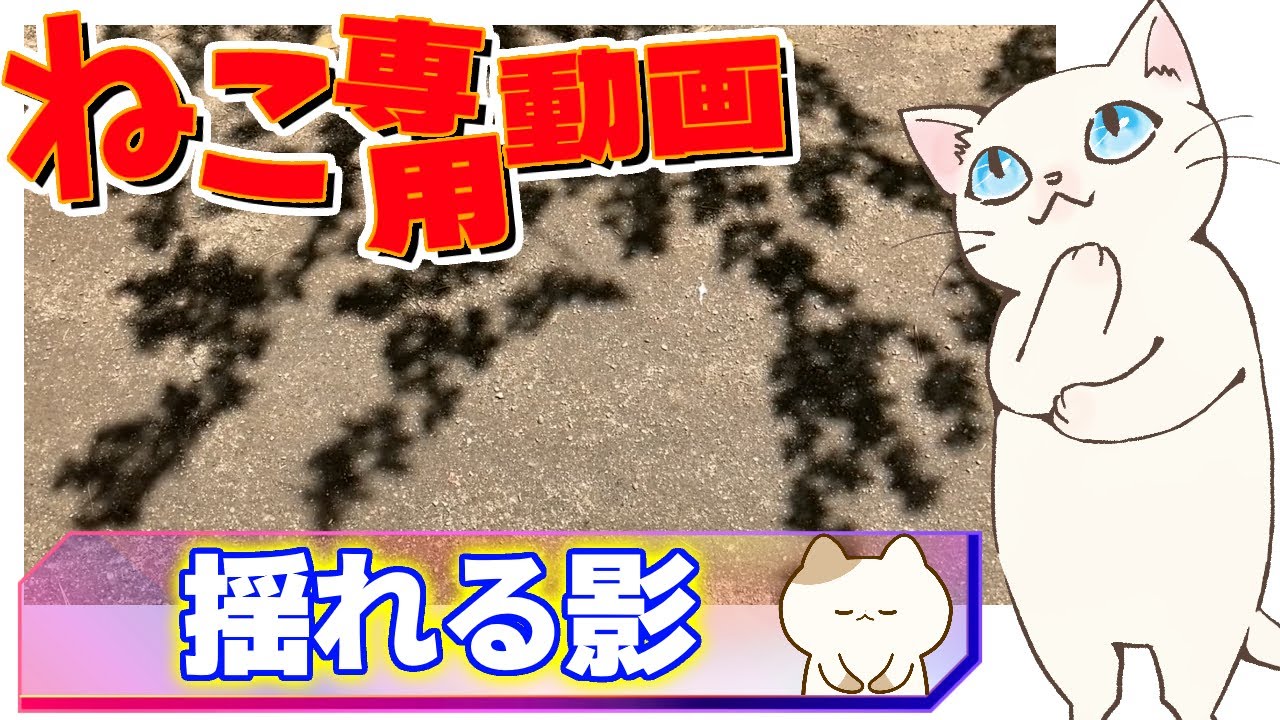 猫に見せる動画【揺れる影】 Video to show to cats 【Wavering Shadow】 - YouTube