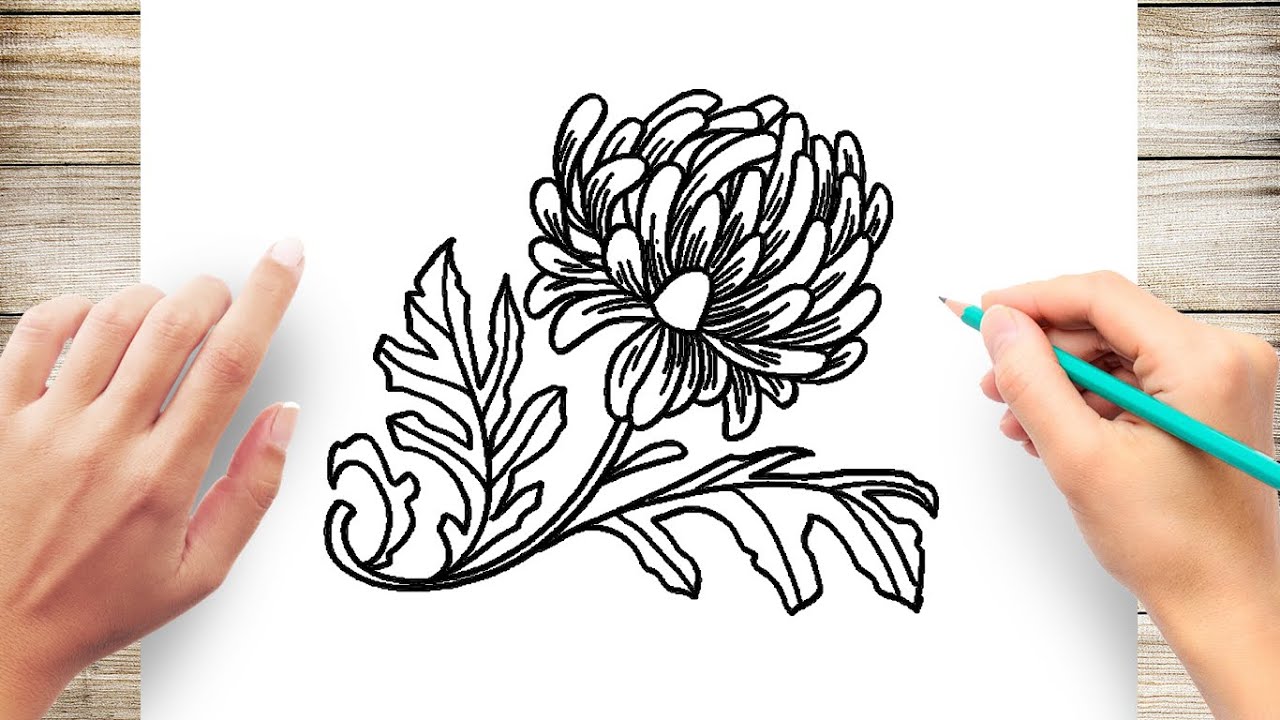 How To Draw Autumn Chrysanthemum Step By Step YouTube