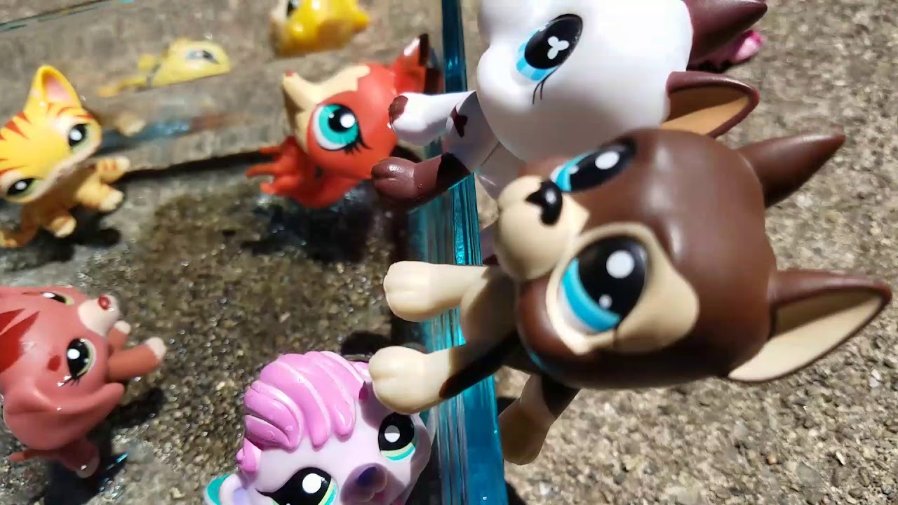 LPS pool party part 2 - YouTube