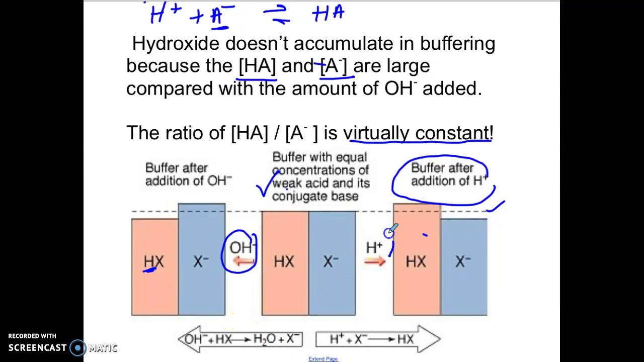AP Chem Intro to Buffers - YouTube