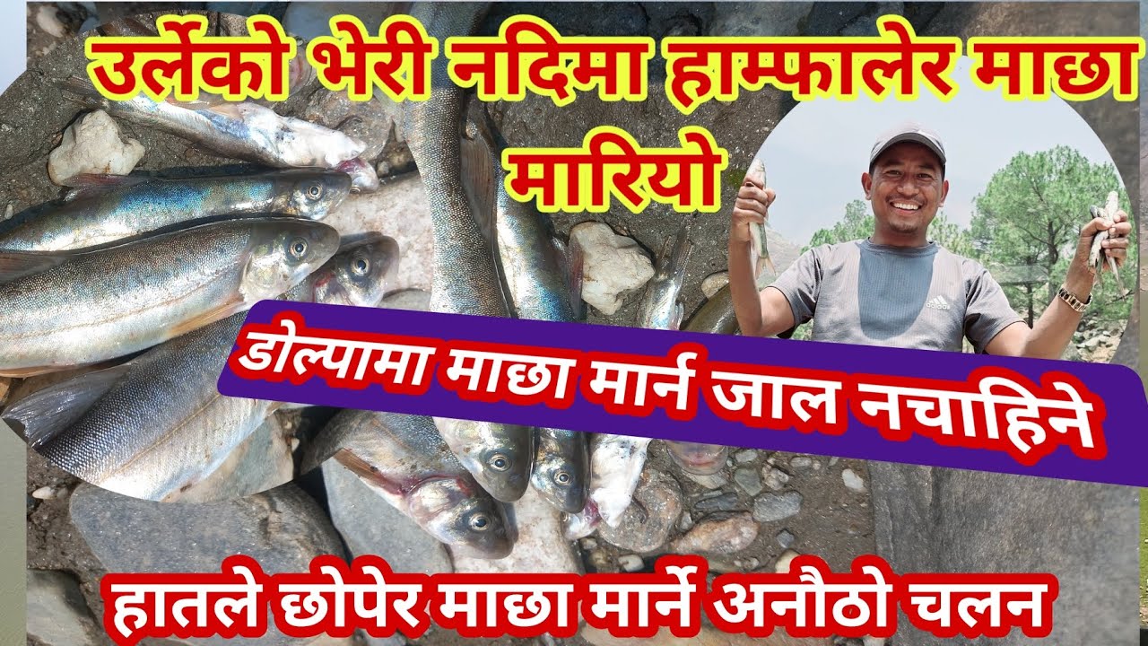 Fishing @ Dolpa /Thuli Bheri River - YouTube