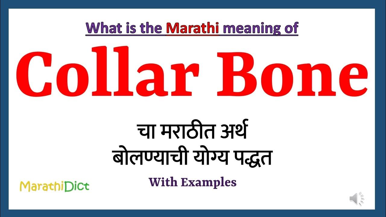 Collar Bone Meaning In Marathi Collar Bone Collar Bone collar-bone-meaning-in-marathi-collar-bone-collar-bone