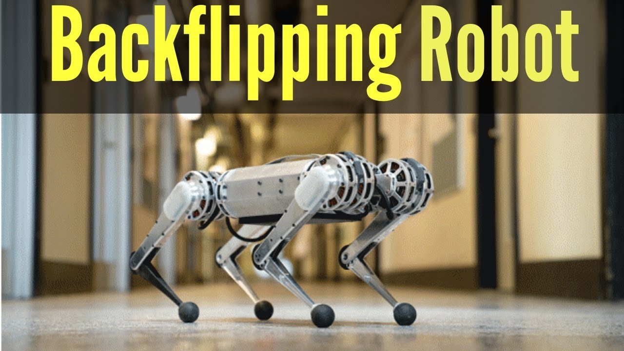 Backflipping MIT Mini Cheetah Robot - YouTube