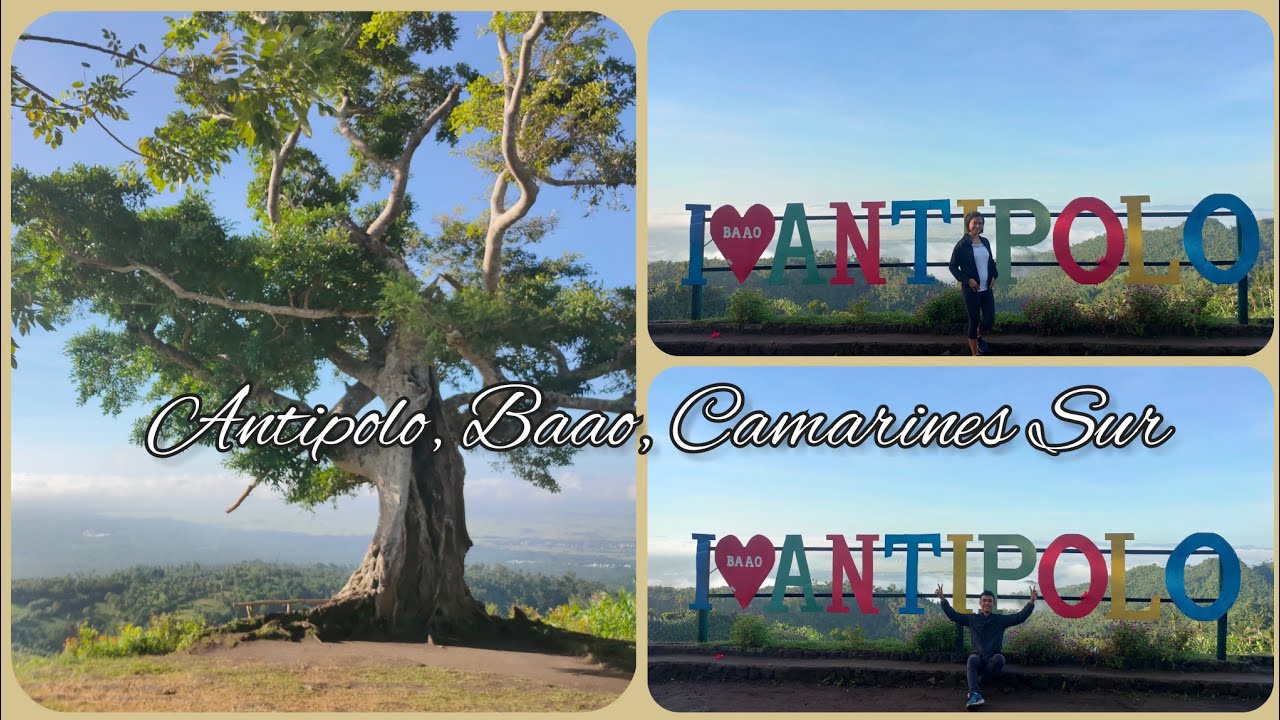 Century Tree | Antipolo, Baao, Camarines Sur - YouTube