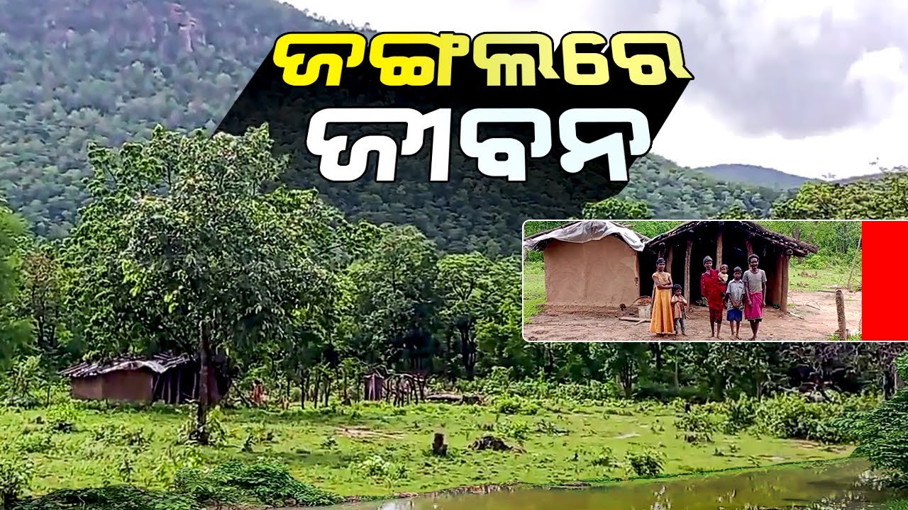 This family in Odisha’s Khariar residing in forest for 3 generations ...