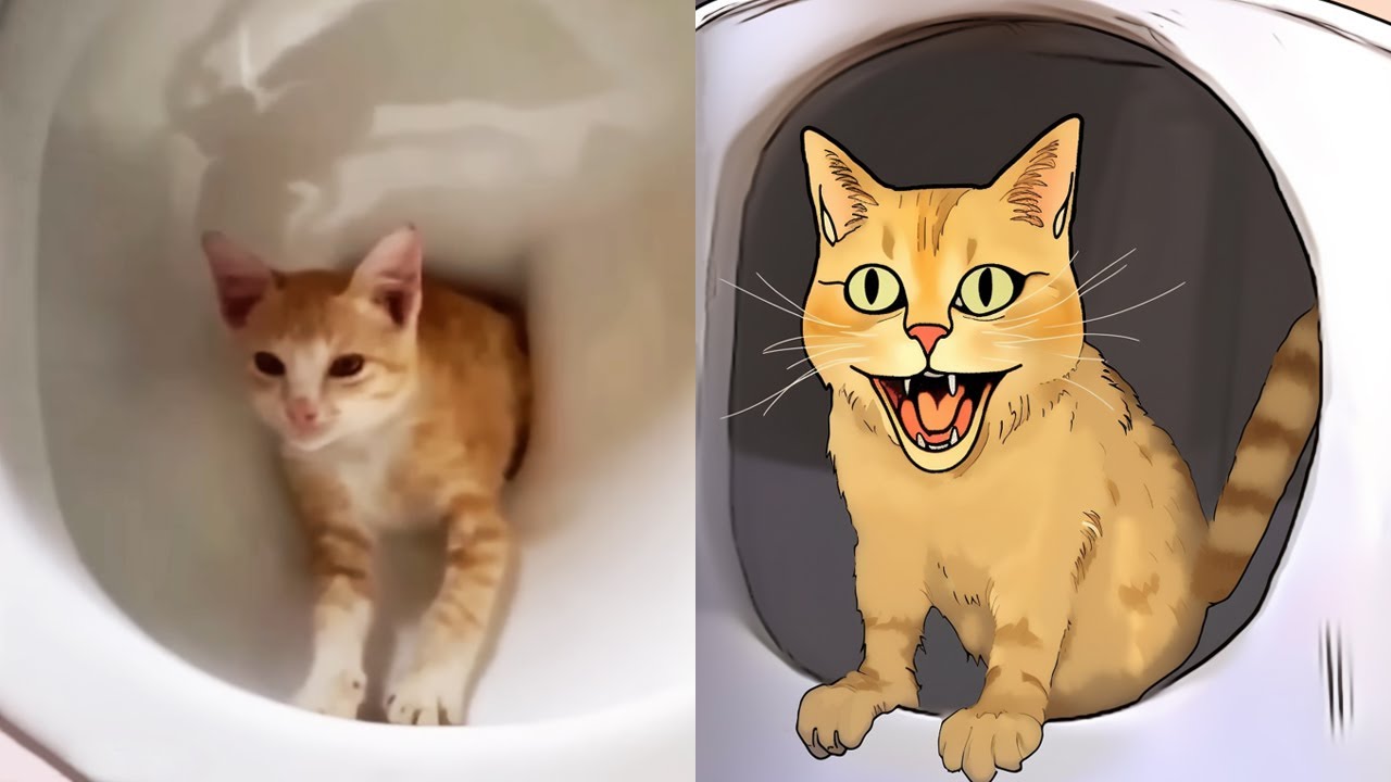 😹🐶Cat Memes: Skibidi Toilet Cat and Funniest Dogs - Drawing Memes😅 ...
