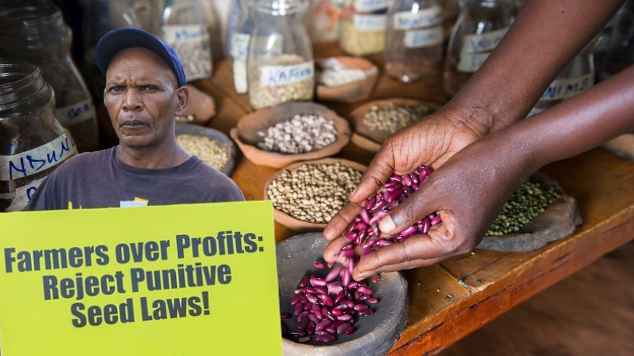 FIGHTING SEED CONTROL: RECLAIMING AFRICA'S SEEDS AND FOOD SOVEREIGNTY ...