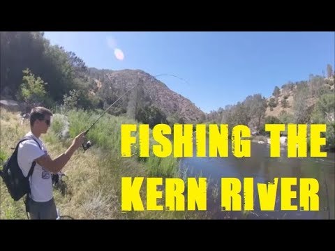 Fishing the Kern River in California - YouTube