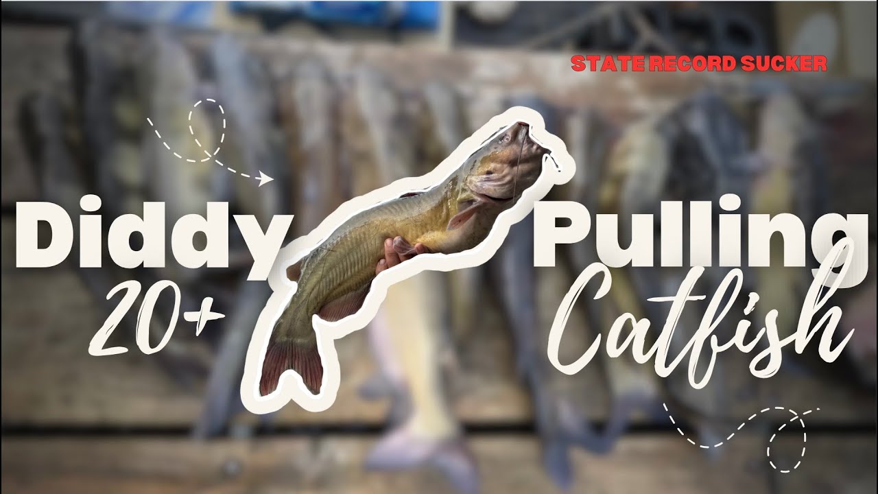Did We Just Find the Best Fishing Spot? | Diddy Pole & Bankpolling ...