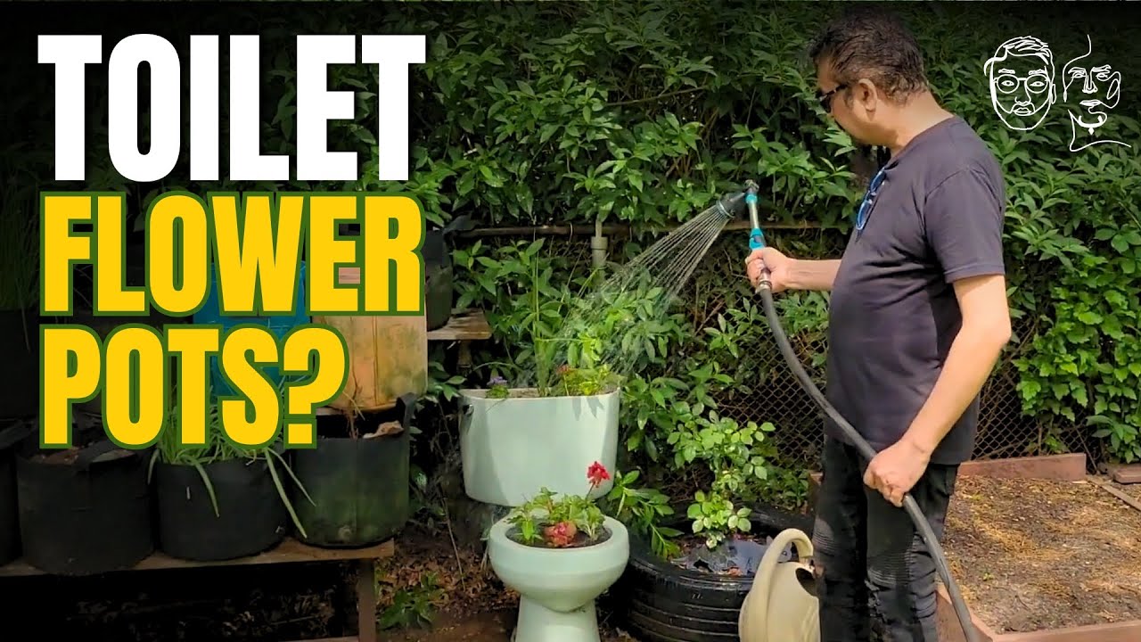 Seed Starting Hacks | Toilet Pots | Upcycle with Old Toilets! Grow ...