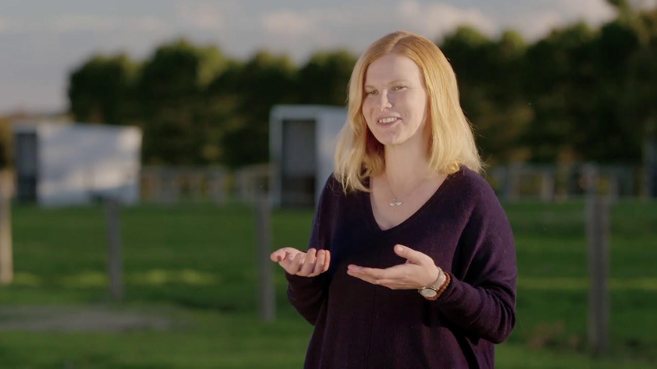 Jess Liston - Inner Rhythms - YouTube