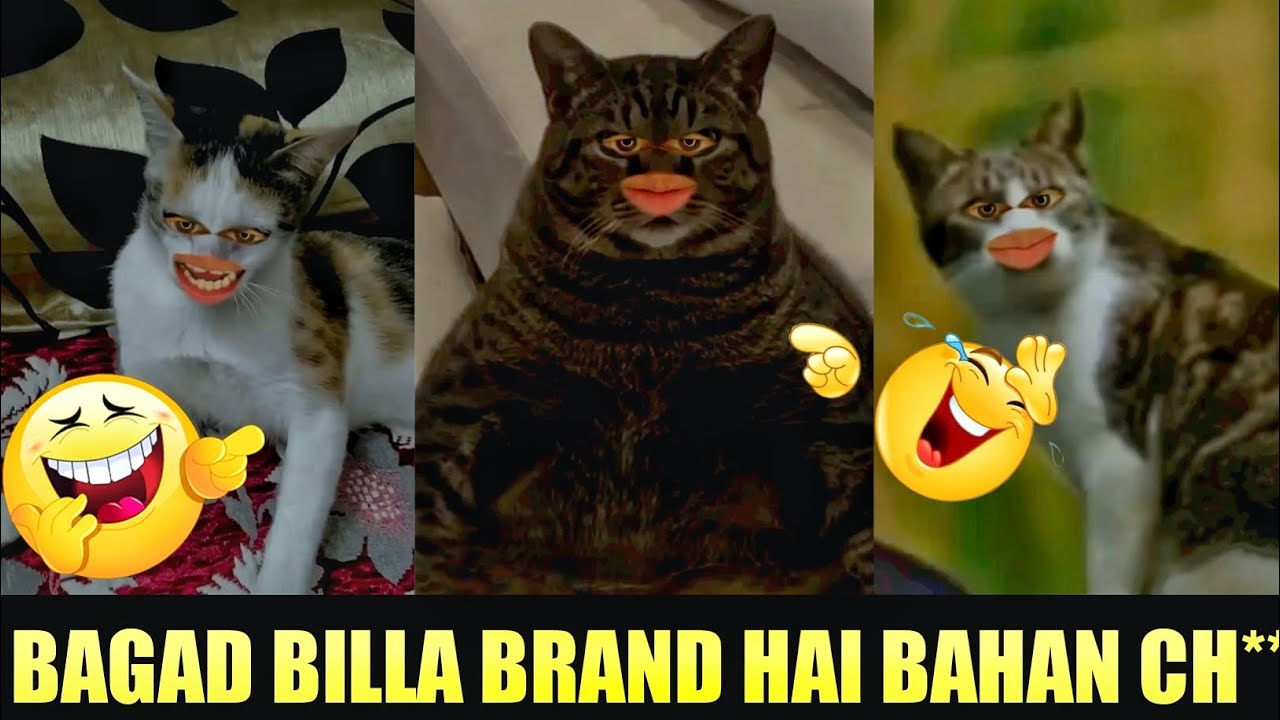 Bagad Billa New Video Full Comedy || Bagad Billa Brand hai || - YouTube