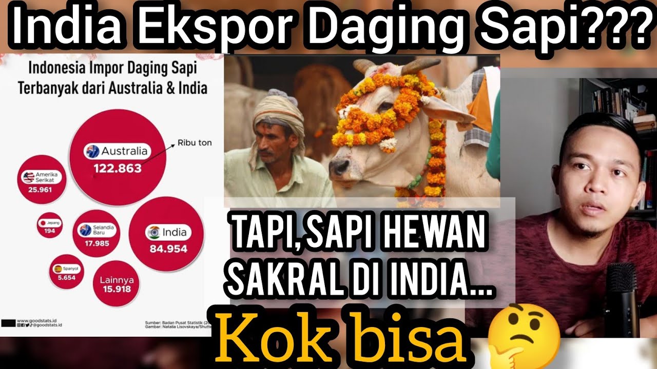 BENARKAH INDIA EKSPOR DAGING SAPI? KOK BISA??? Ini Jawabannya.... (2022 ...