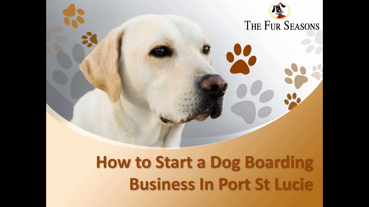 Dog Boarding Port St Lucie