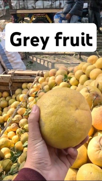 Grey fruit in Farmer's Market #pakistan #youtubeshorts - YouTube
