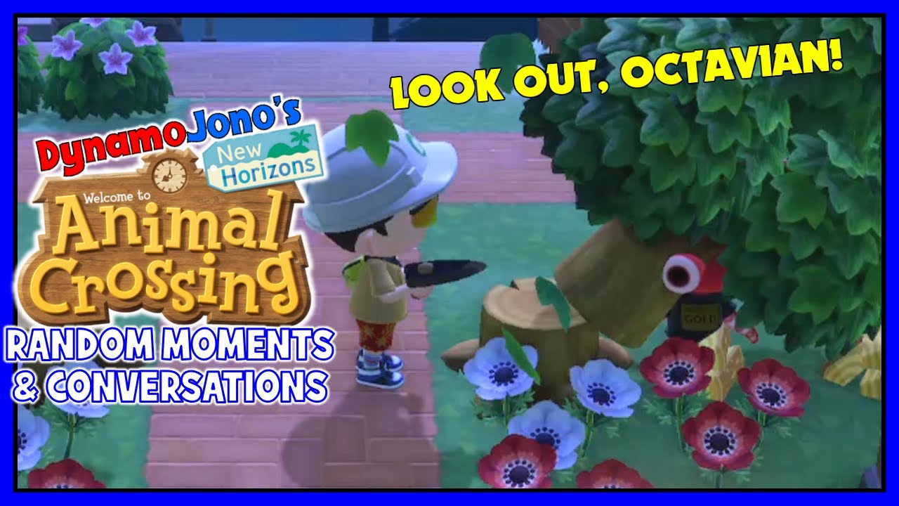 Animal Crossing: New Horizons Random Moments & Conversations #7 - YouTube
