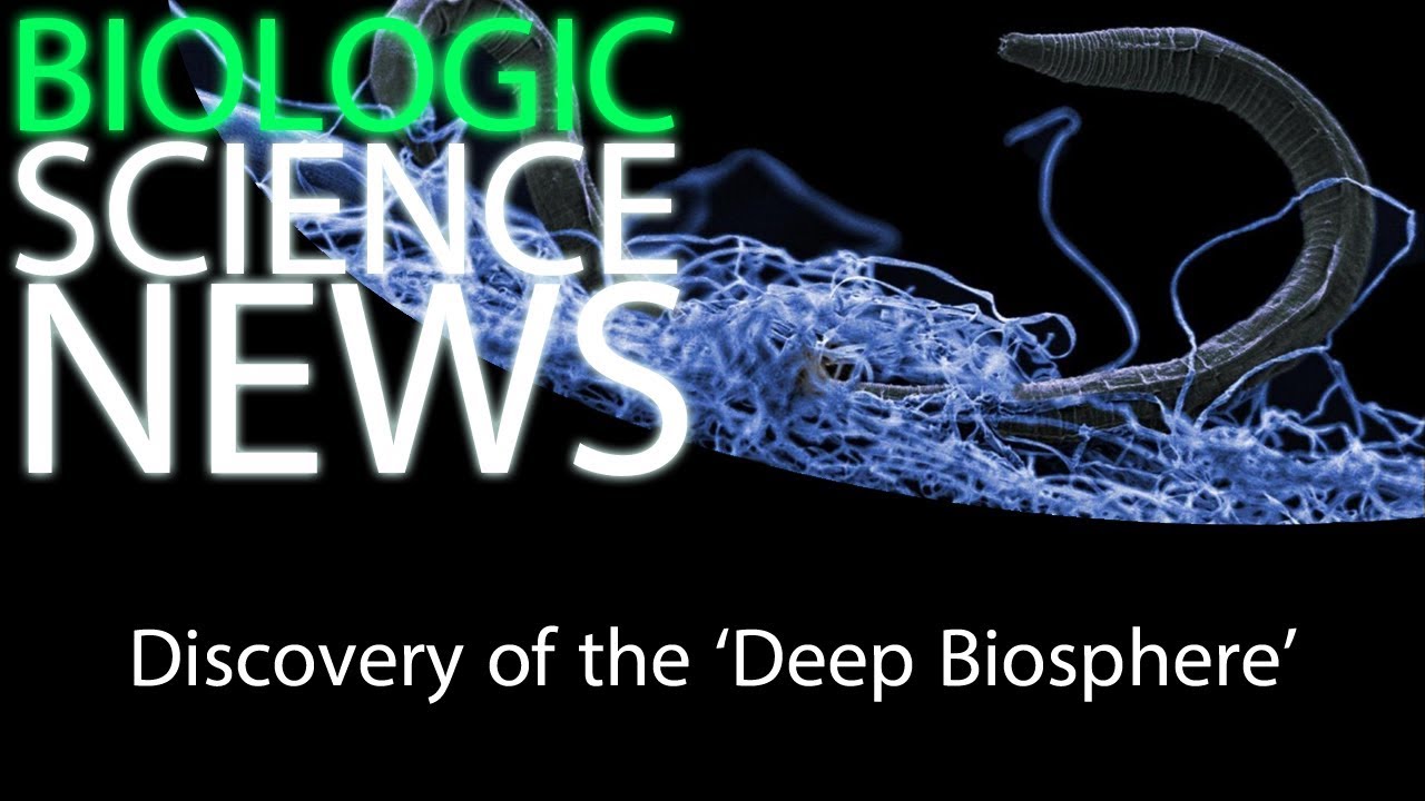 Science News - Discovery of the 'Deep Biosphere' - YouTube
