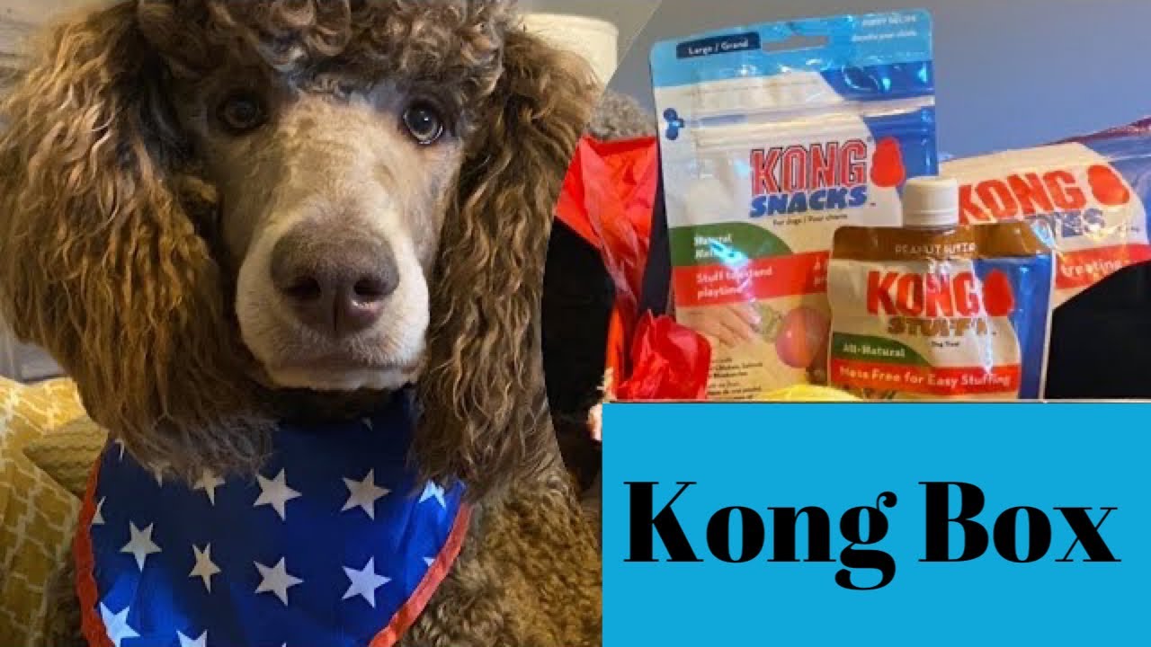 monthly subscription box for dogs: Unboxing Kong box Dog toys - YouTube