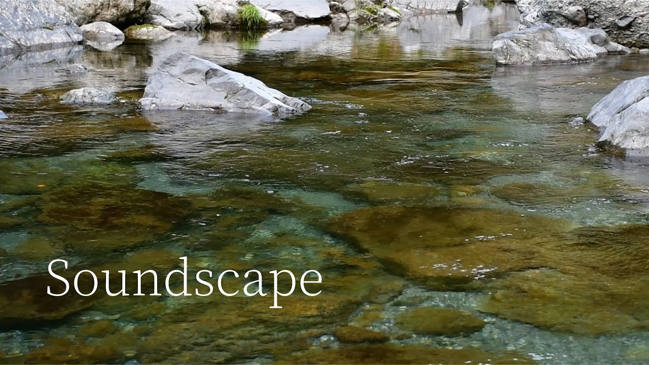 【Soundscape】Nature Sounds/Bubbling Brook Sounds/Relaxing Nature Sounds ...