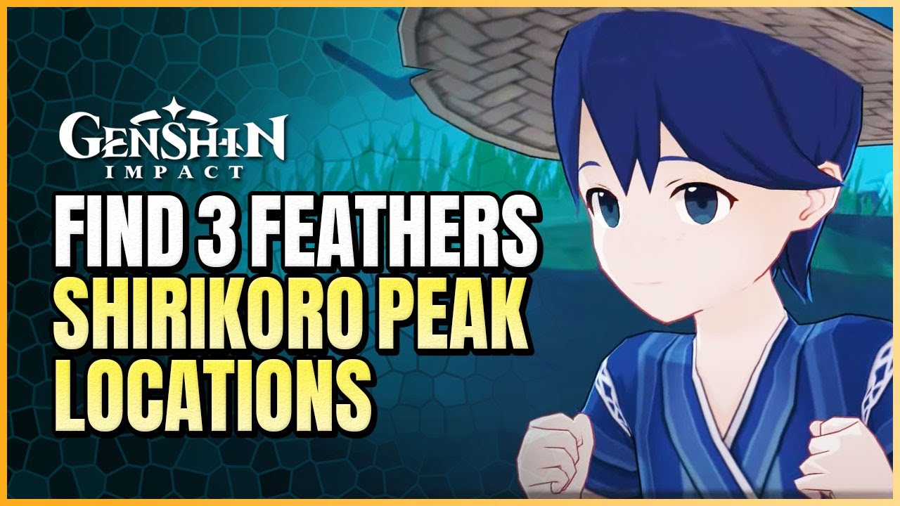 Finding 3 Feathers Shirikoro Peak (Ruu NPC) | Make Offering At Perches ...