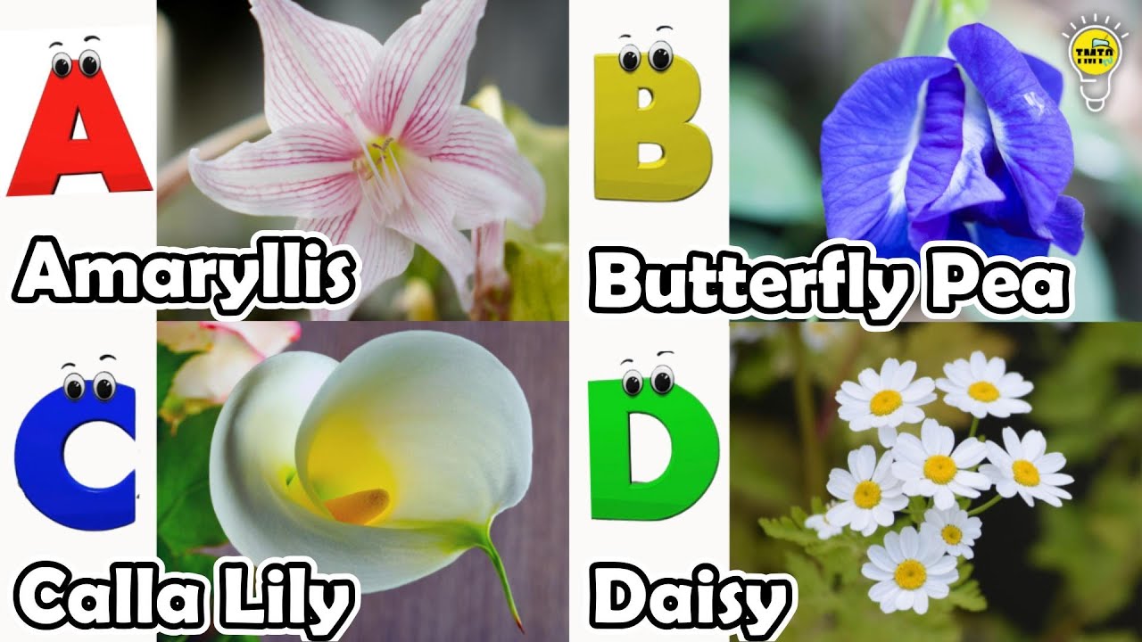 Flowers Alphabet Song | Flowers ABC Song | A to Z Flowers Names ...