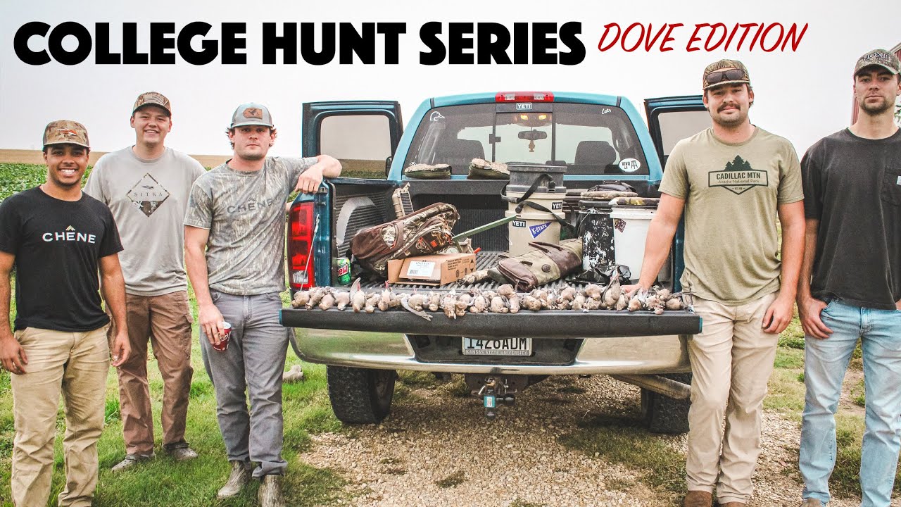 DOVE HUNTING A CUT WHEAT FIELD (College Hunt Series: Episode 1) - YouTube