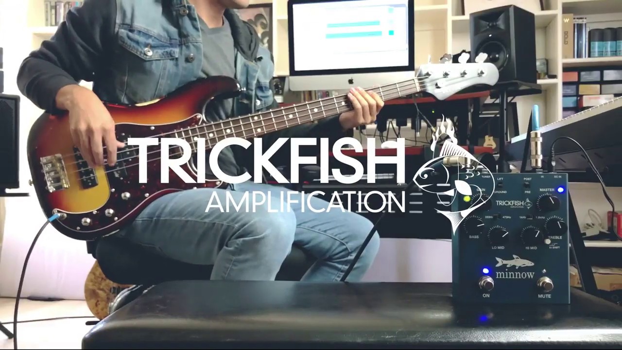Trickfish Amplification Minnow - Leslie Johnson Demo - YouTube