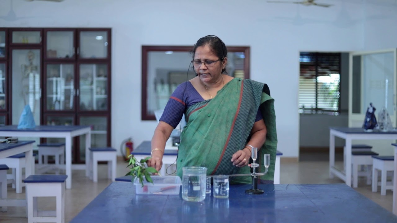 Ganong's Potometer - YouTube