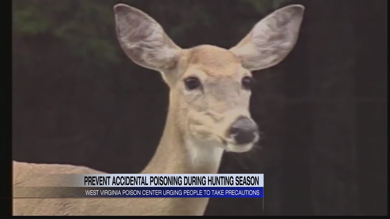 Poison control tips for deer season - YouTube