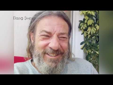 Eskiden Eşşek Makbul Bir Hayvandı