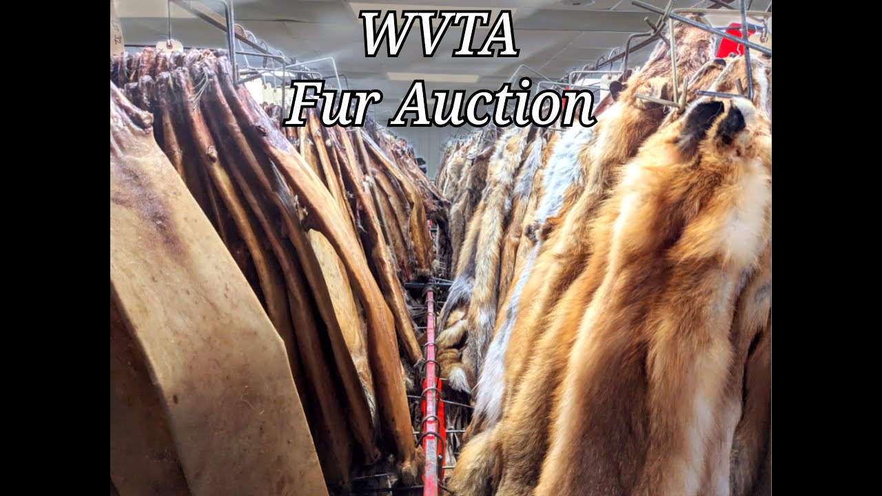 West Virginia fur auction - YouTube
