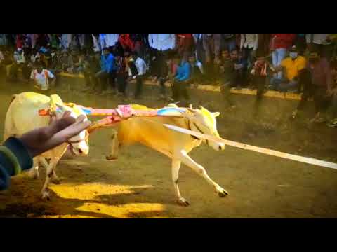 sardar fan club maharashtra ||attatude status