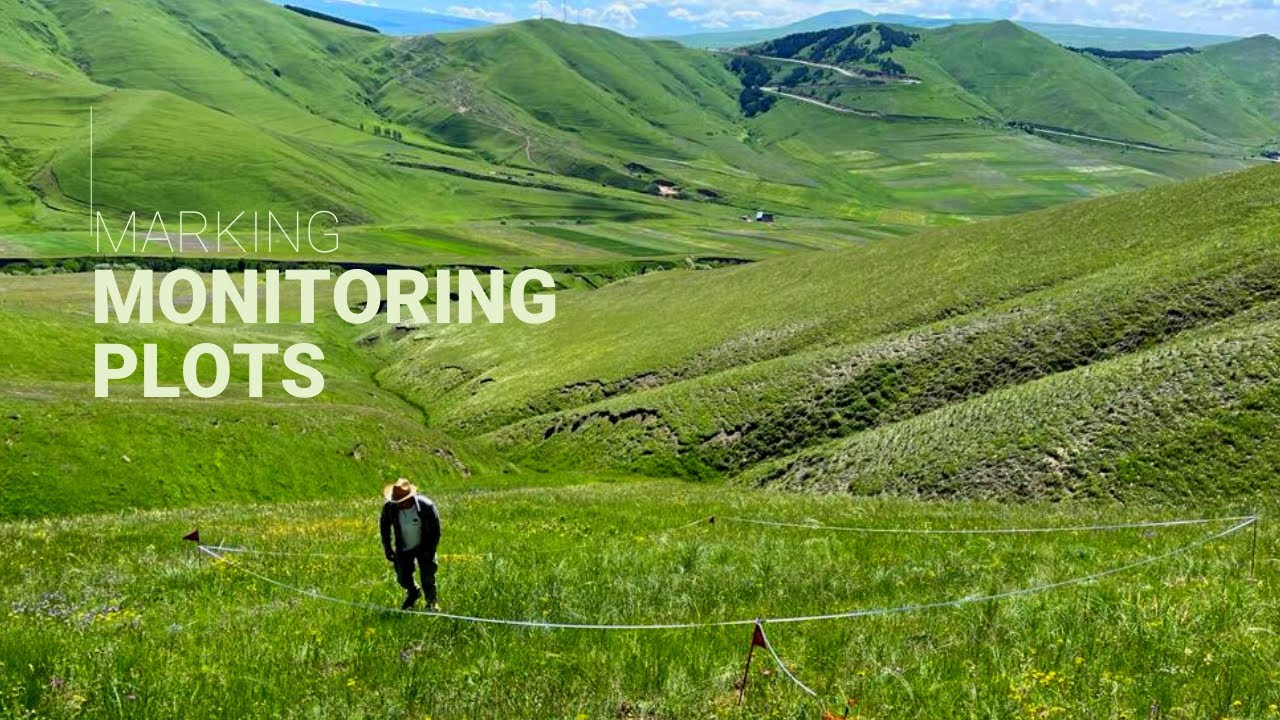 ⛳️ Marking permanent monitoring plots - YouTube