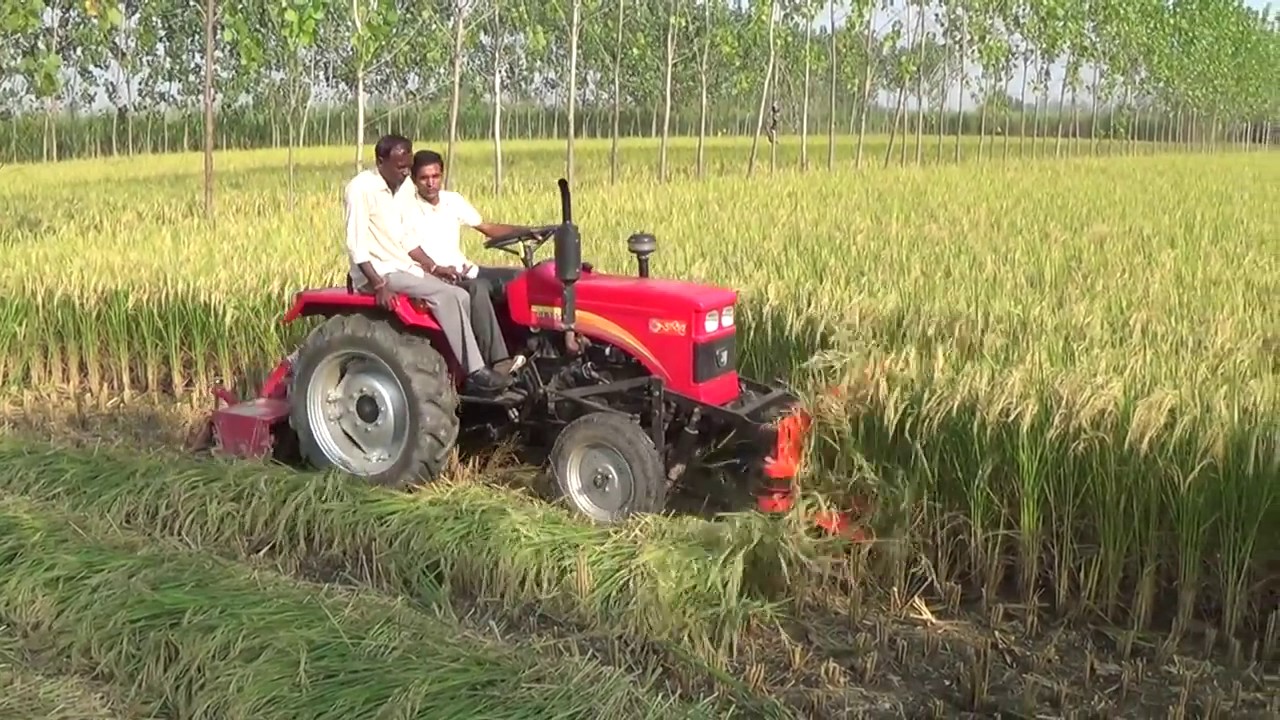 utsav tractor cutting rice crop with ripper cutter - YouTube