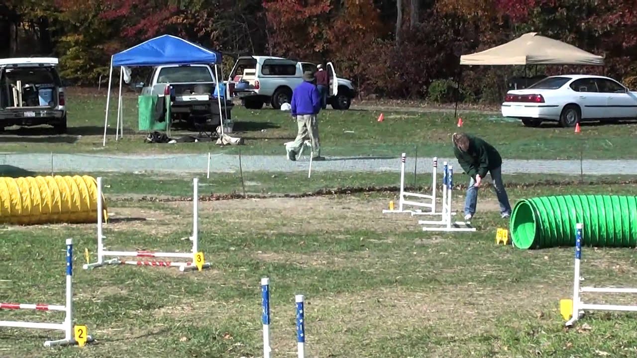 Mayo Naize doing agility at the JRTCA National Trial 2011 - YouTube