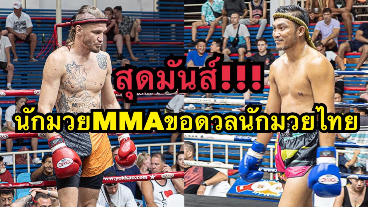 นักมวยMMAท้าดวลนักมวยไทยอดีตแชมป์ลุมพินีโดนแทงเข่าน๊อคคาที่ ยอดพยัคฆ์ ...