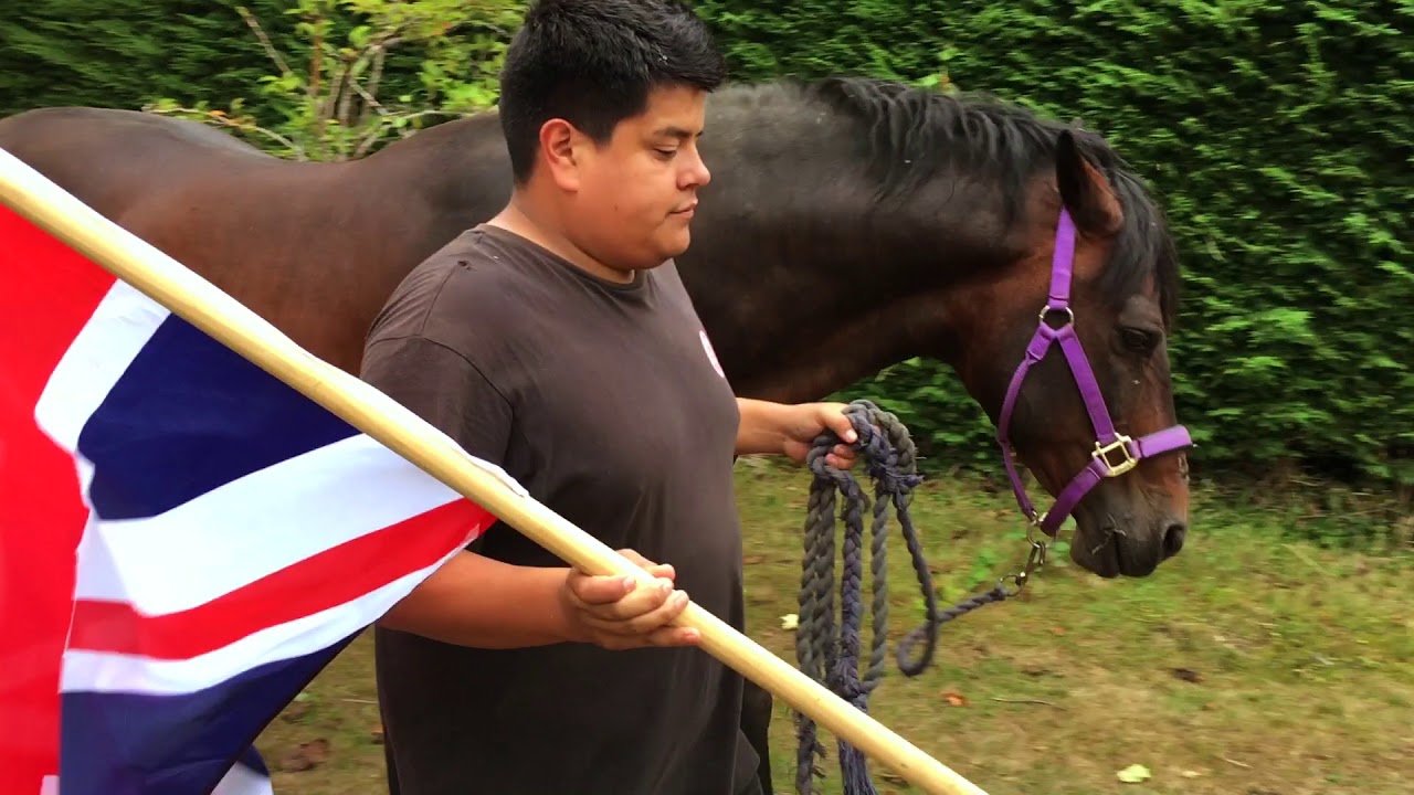 Christopher Bicknell Horse Agility - YouTube